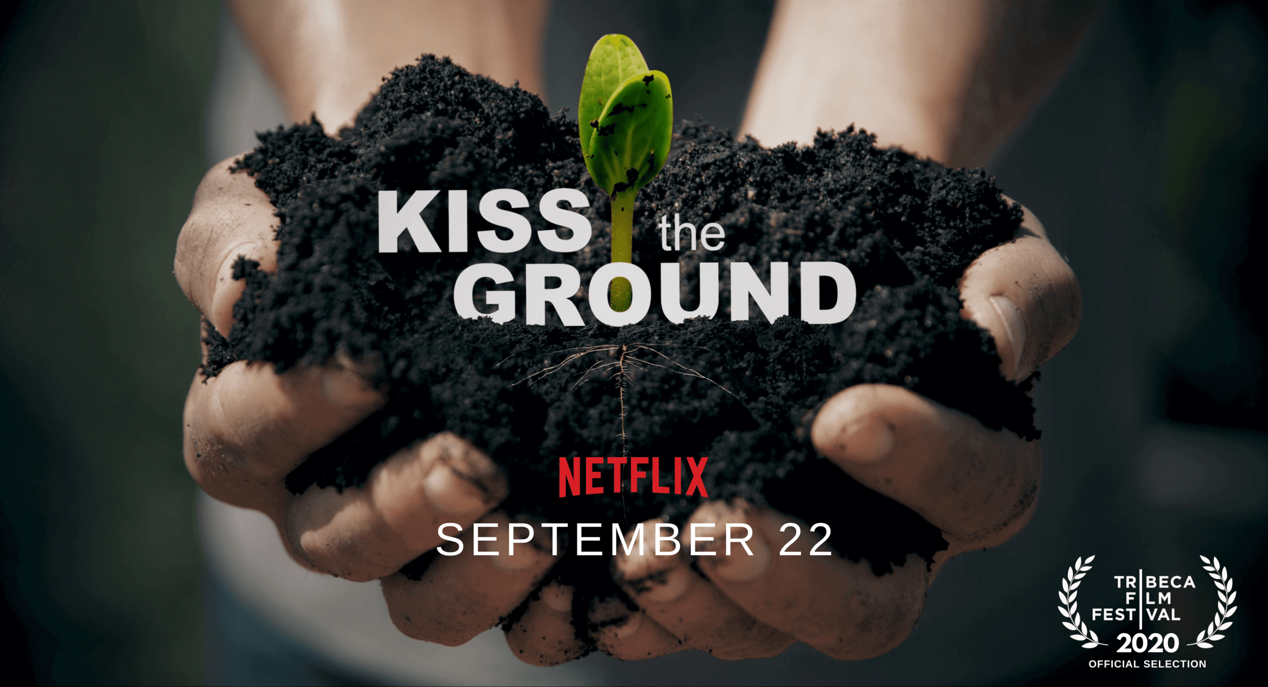 Kiss the Ground - eWoodz.com
